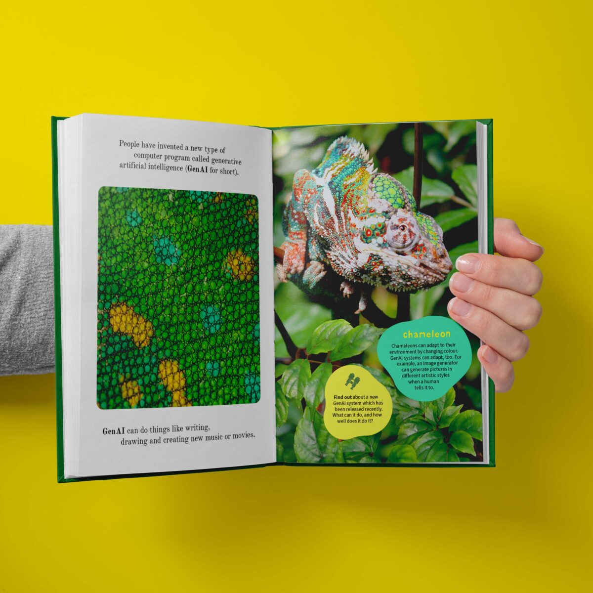 Exploring the AI Jungle - Data Education in Schools